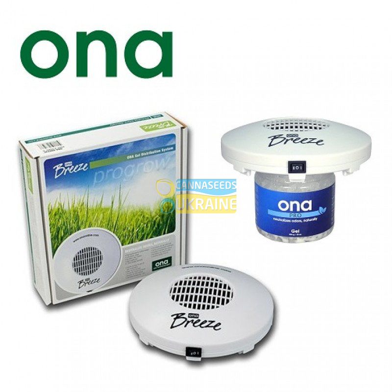 AIR-ONA BREEZE - CannaSeeds